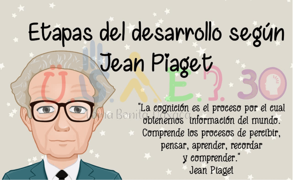 ETAPAS DEL DESARROLLO SEGÚN JEAN PIAGET - TU MAESTROS